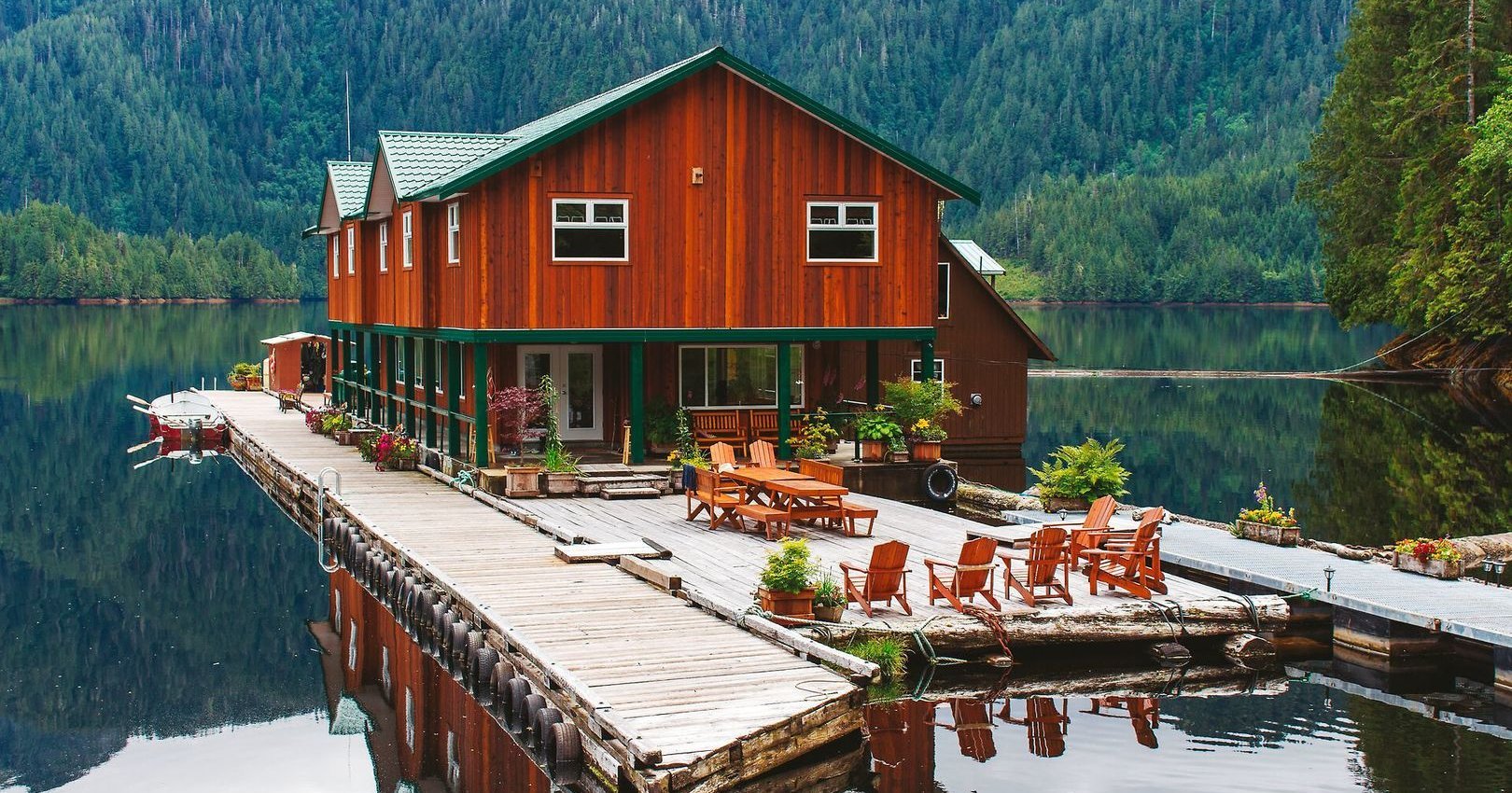 Kanada Bärenbeobachtung: Ein Naturabenteuer in British Columbia!